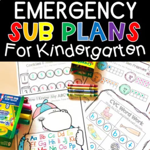 Emergency Sub Plans for Teachers: How to Be Prepared for Anything ...