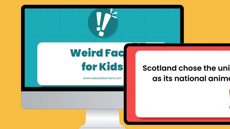 130 Weird but True Fun Facts To Amaze and Surprise Everyone - Classroom