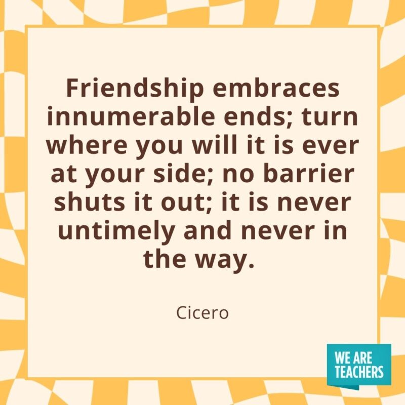 100 Friendship Quotes That Remind Us Why We're Better Together - Classroom