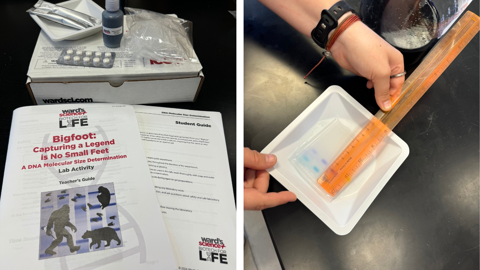 Make Your Students Feel Like Real Scientists With Biotech for Life ...